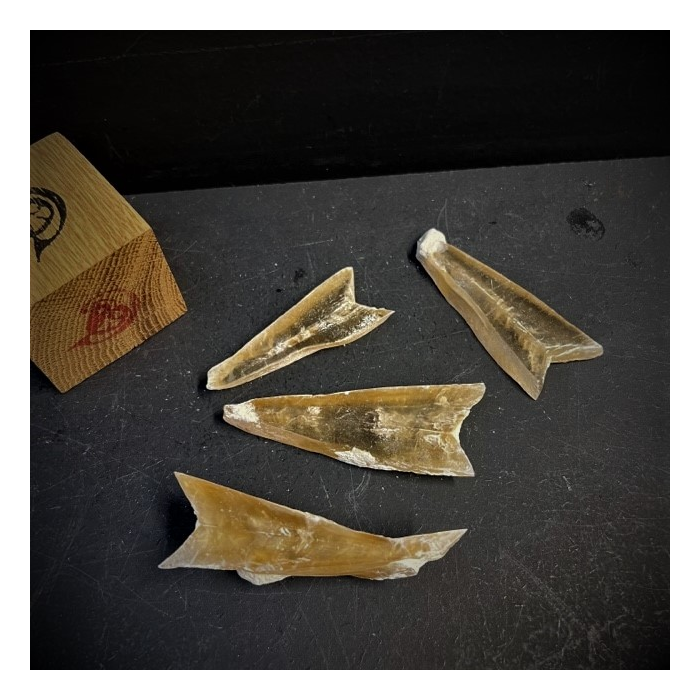 Cristal en Fer de lance de gypse de Seine et Marne - Pierre à plâtre