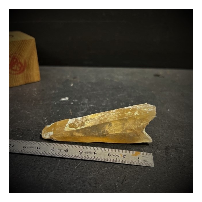 Cristal en Fer de lance de gypse de Seine et Marne - Pierre à plâtre