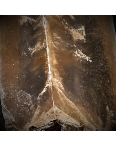 Cristal en Fer de lance de gypse de Seine et Marne - Pierre à plâtre