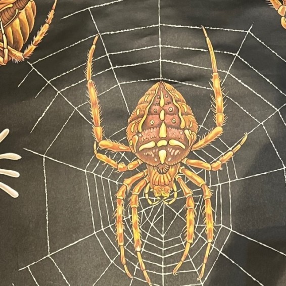 Interleaved school poster - Spider - Hagemann Düsseldorf - 1977