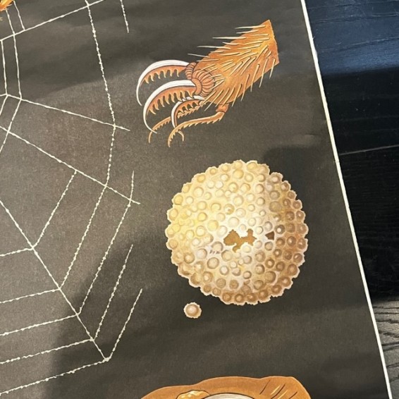 Interleaved school poster - Spider - Hagemann Düsseldorf - 1977