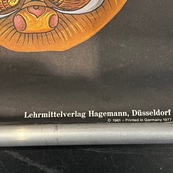 Interleaved school poster - Spider - Hagemann Düsseldorf - 1977