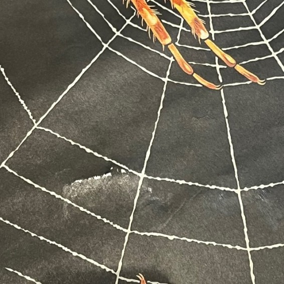 Interleaved school poster - Spider - Hagemann Düsseldorf - 1977