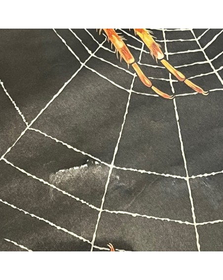 Interleaved school poster - Spider - Hagemann Düsseldorf - 1977