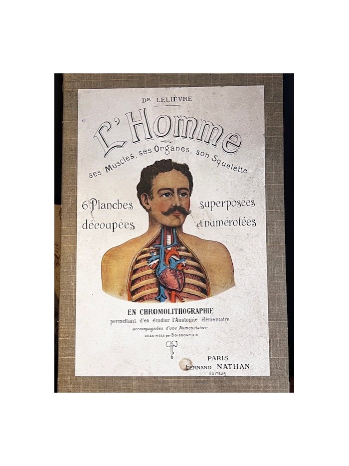 L'Homme - Planche anatomique démontable - Fernand Nathan Editeur 1910