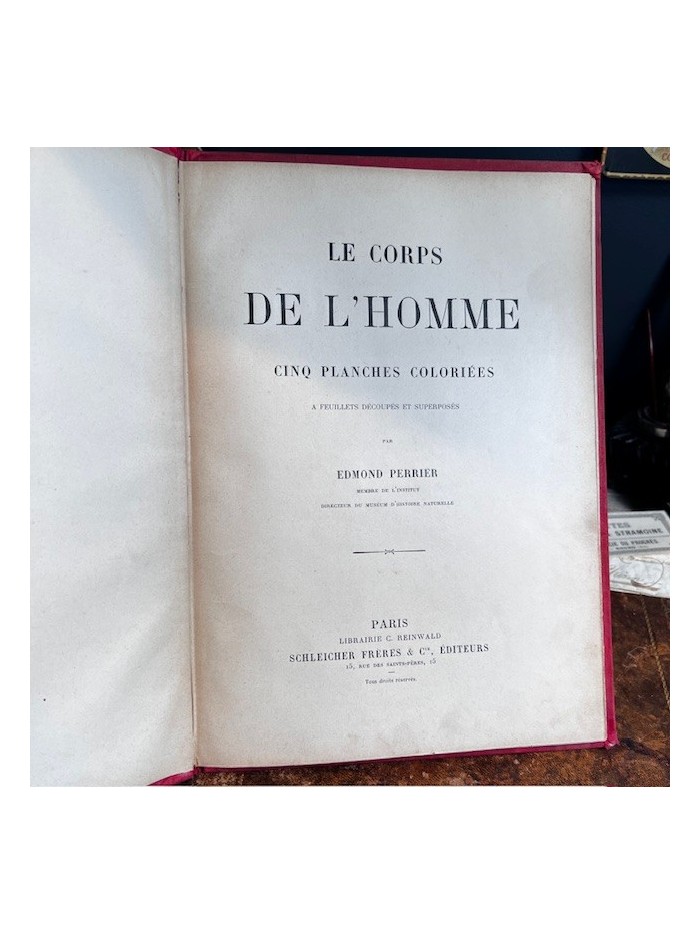 Le corps de l'Homme - Atlas anatomique - Planche anatomique démontable